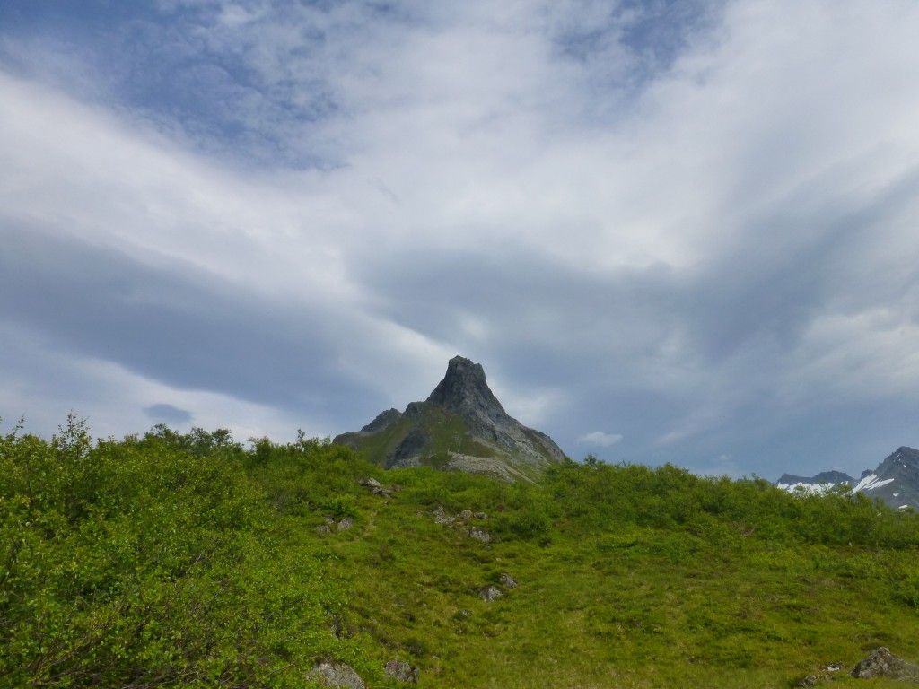 Trandal – nytnaturen.no