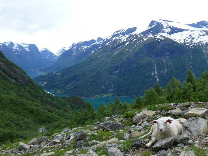 Furedalen – Botnavatnet – nytnaturen.no